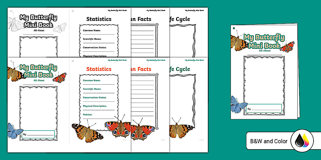 Butterfly Research Project | Spring Resource | Twinkl USA