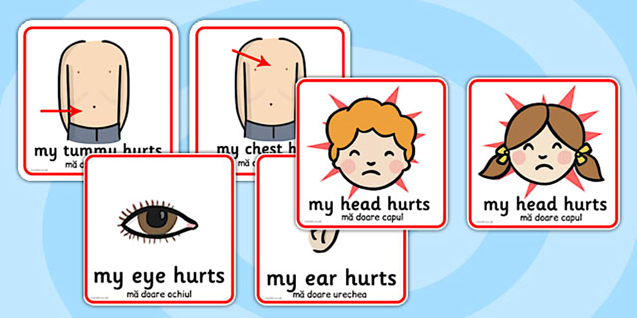 Parts of the Body Communication Cards Romanian Translation - romanian