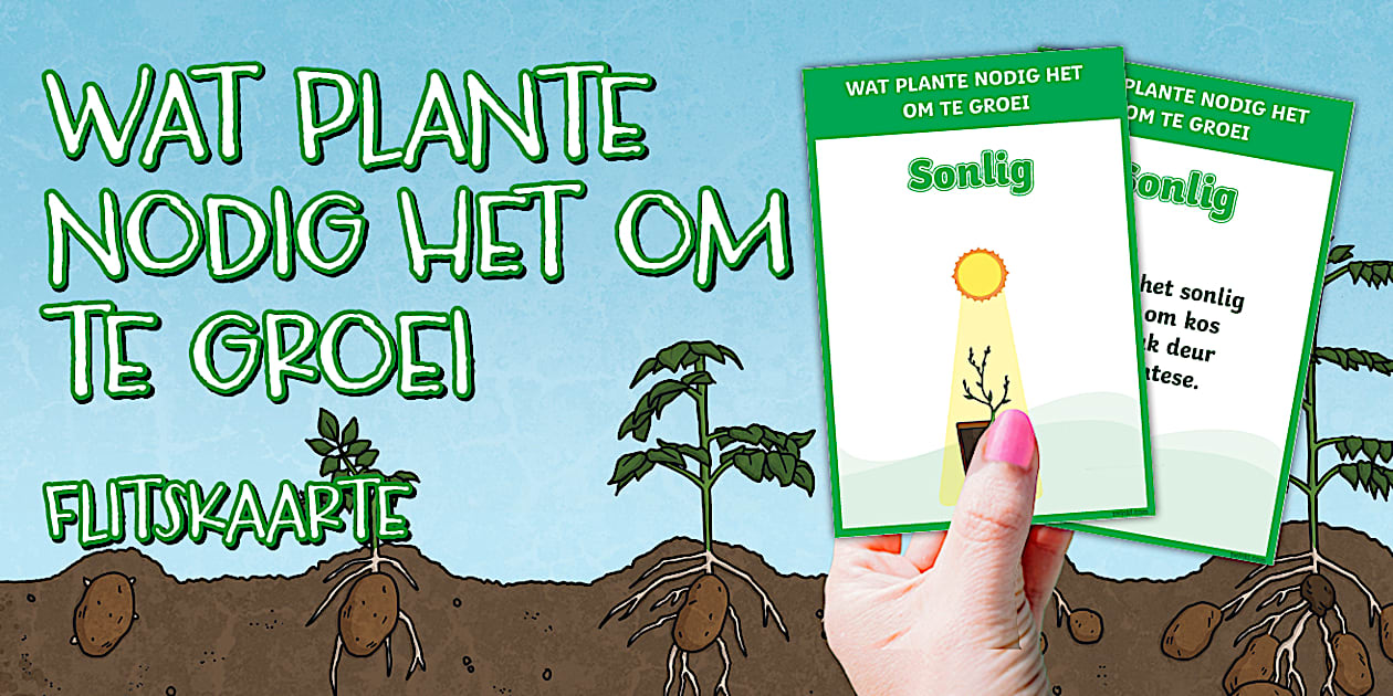 Graad 4 Natuurwetenskappe en Tegnologie - Kwartaal 1 - Wat Plante Nodig ...