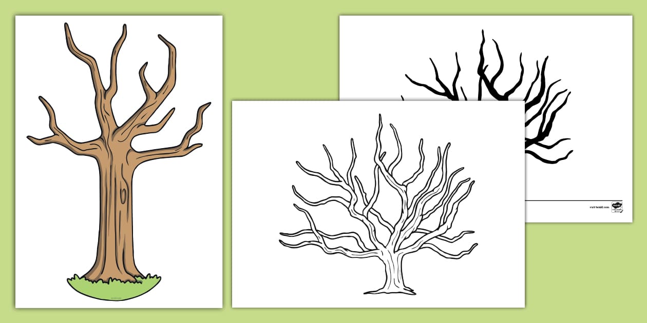 Winter Tree Silhouette Pack | Winter | Twinkl | EYFS