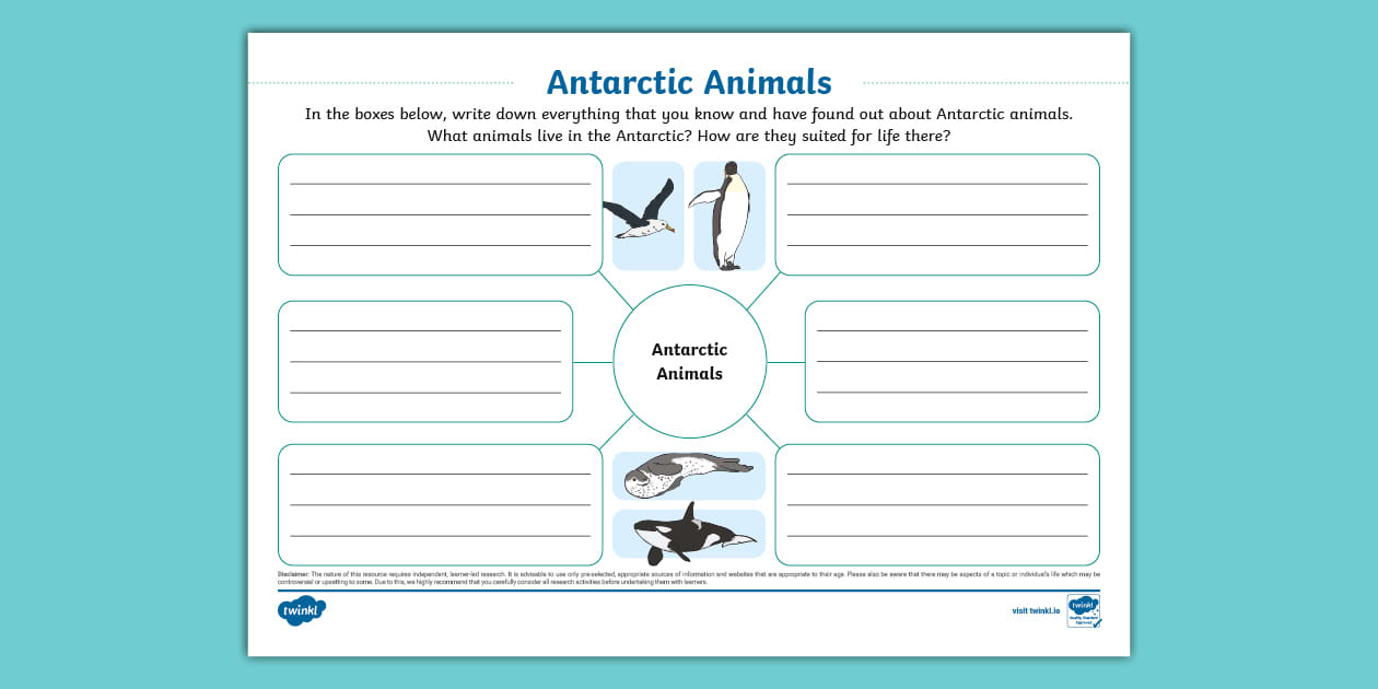 Antarctic Animals Mind Map - Twinkl Ireland (teacher made)