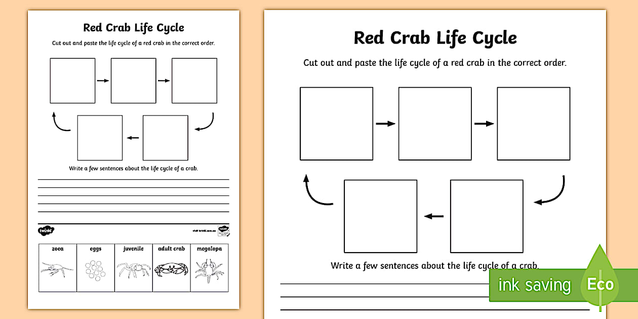 SA Crab Life Cycle Sentence Writing Worksheet - Twinkl
