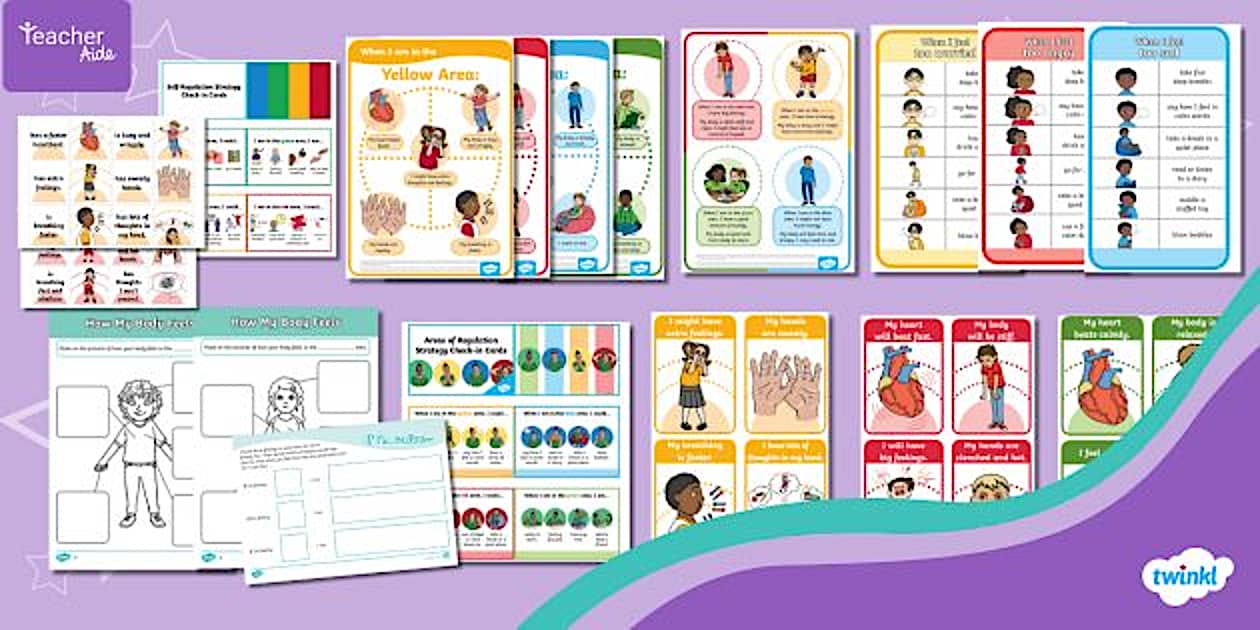 Teacher Aide Emotional Regulation Toolkit (teacher made)