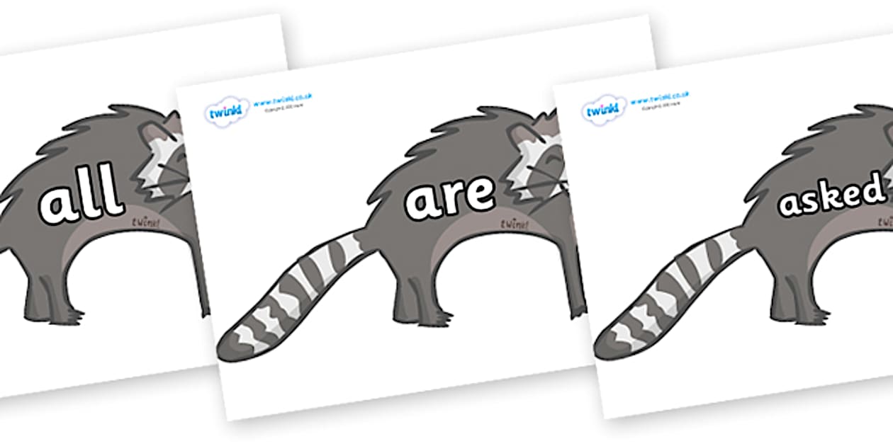 Tricky Words on Raccoons (teacher made) - Twinkl