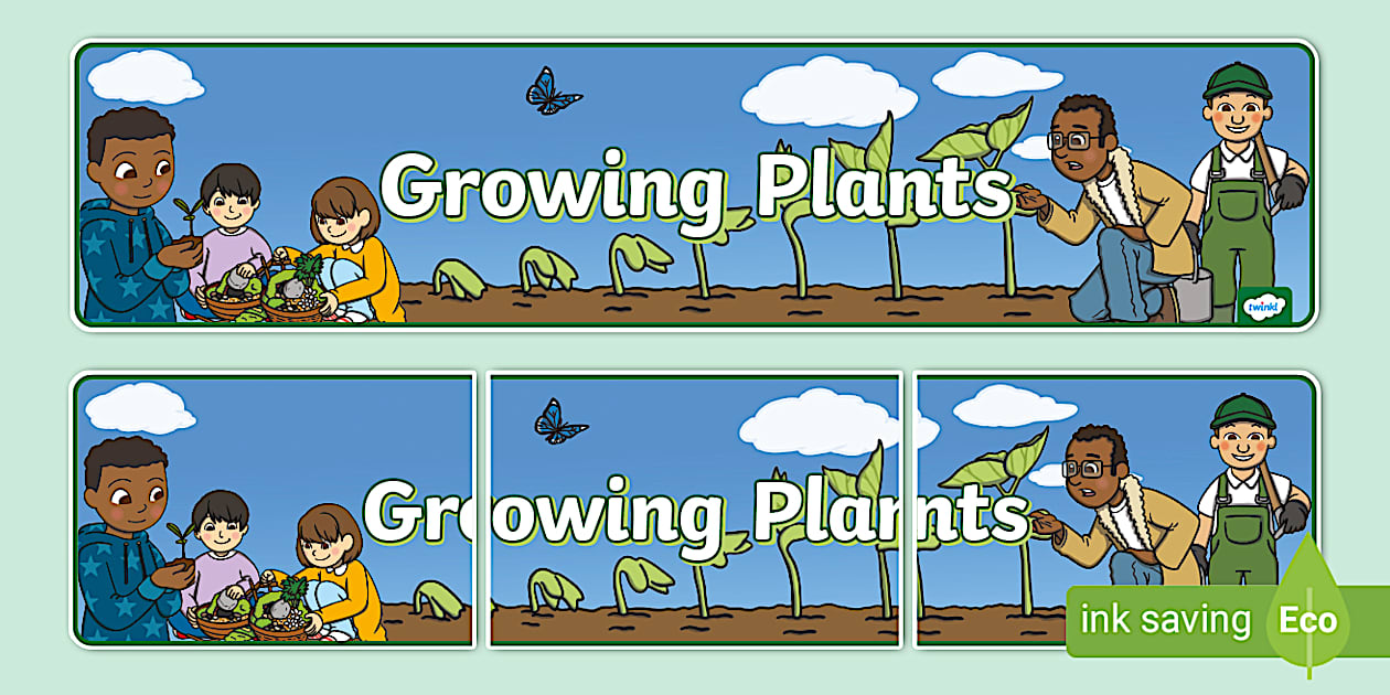 Growing Plants Display Banner (Teacher-Made) - Twinkl