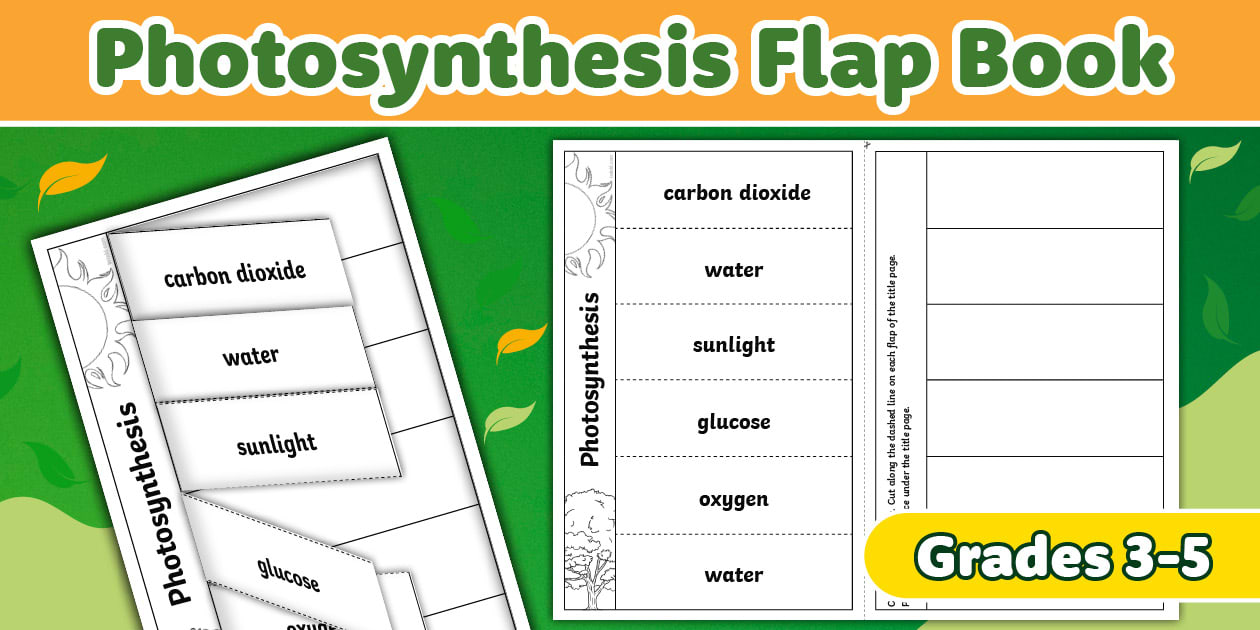 Photosynthesis Flap Book for 3rd-5th Grade