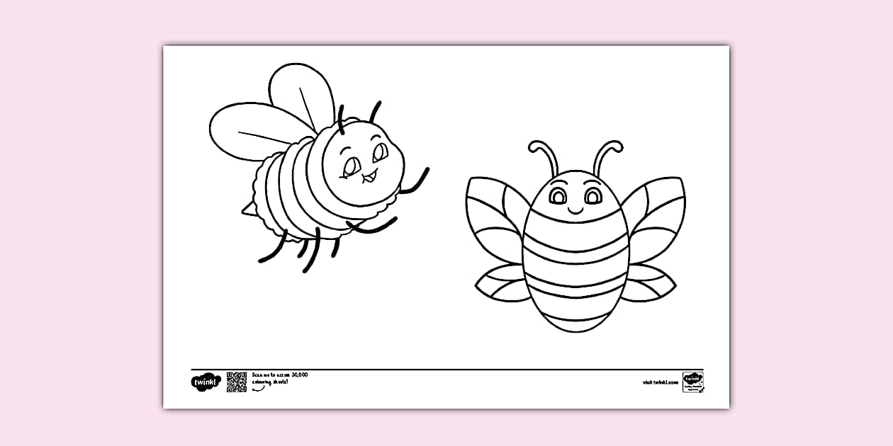 Bee Colouring Page | Colouring Sheets - Twinkl