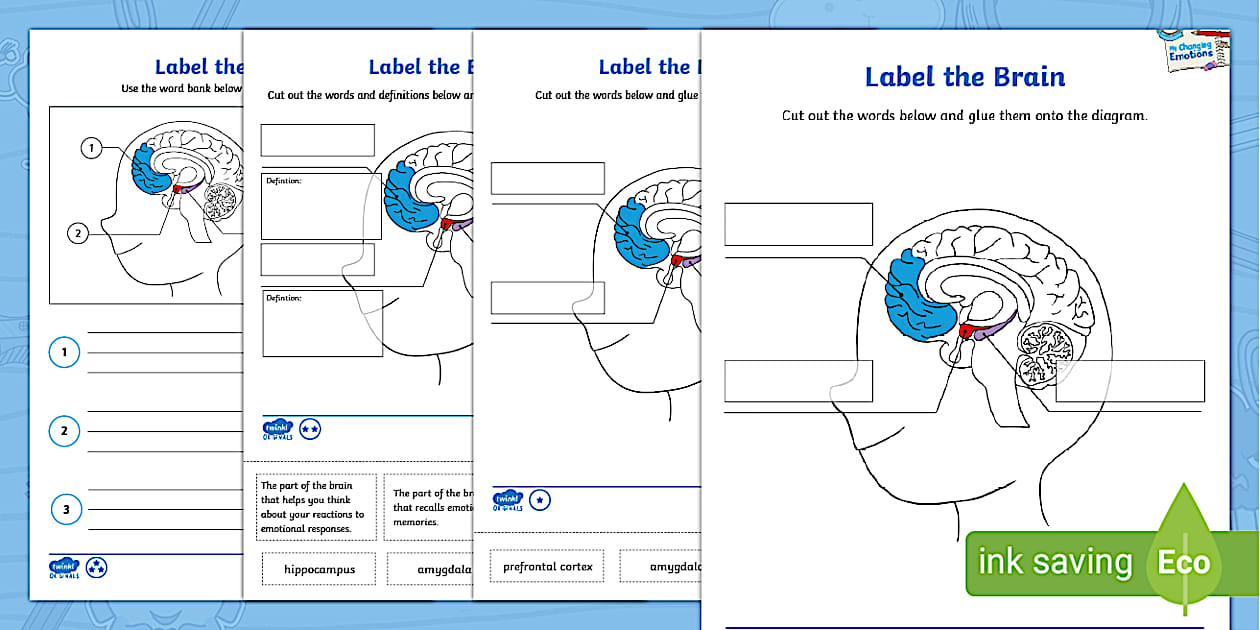 My Changing Emotions - Brain Labelling Worksheet - Twinkl