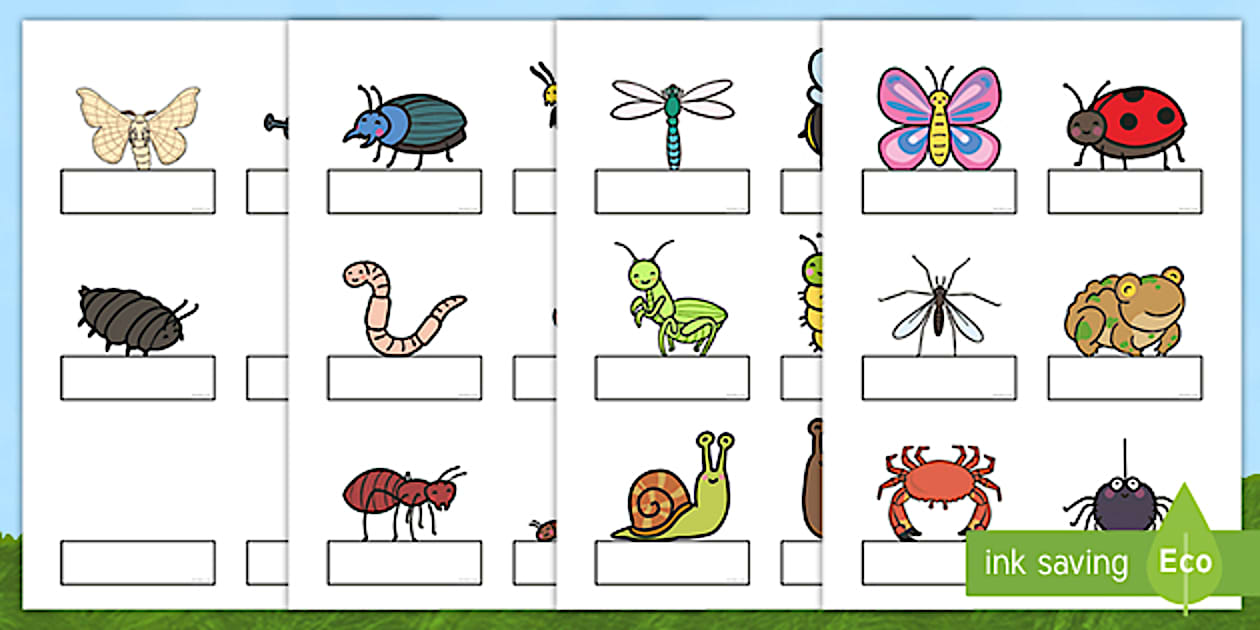 Editable Minibeasts Self-Registration (teacher made)