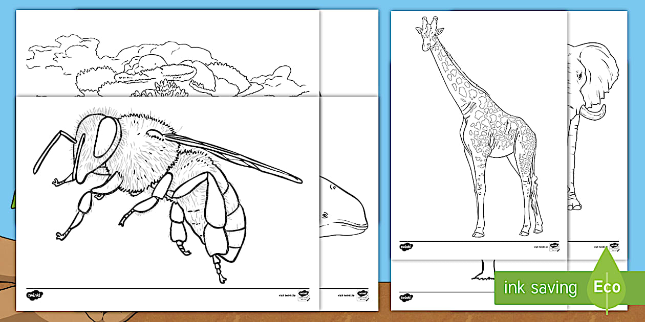 Earth Day Endangered Animals Colouring Pages | Twinkl