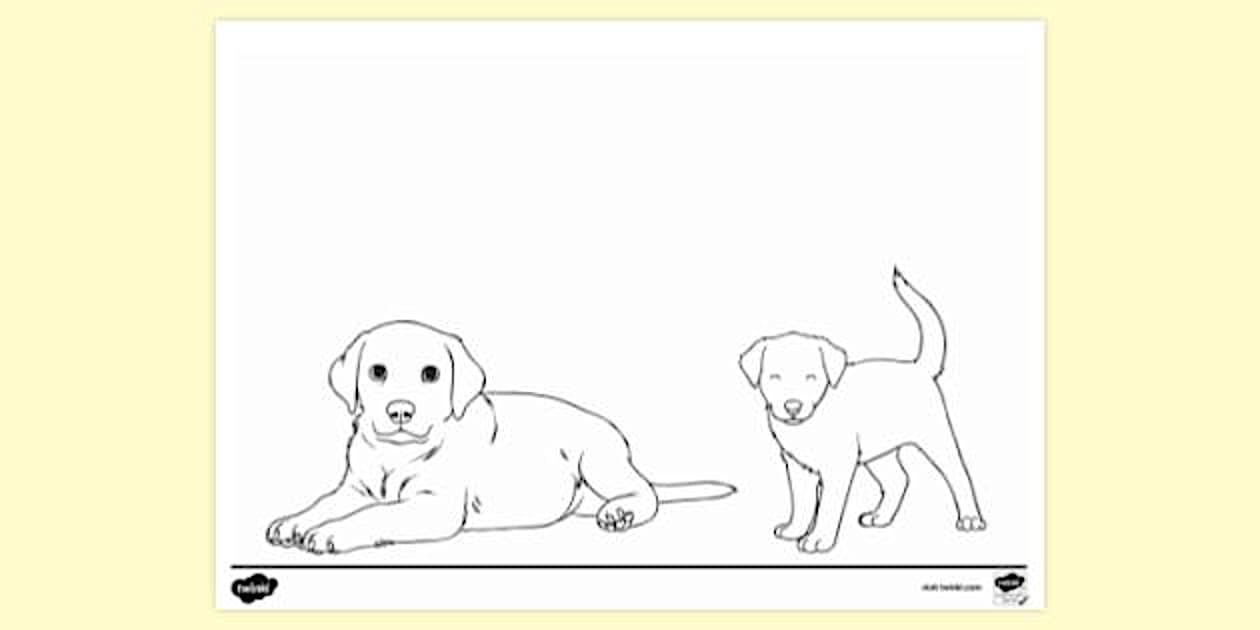 Dog and Puppy Colouring Page | Colouring Sheets - Twinkl