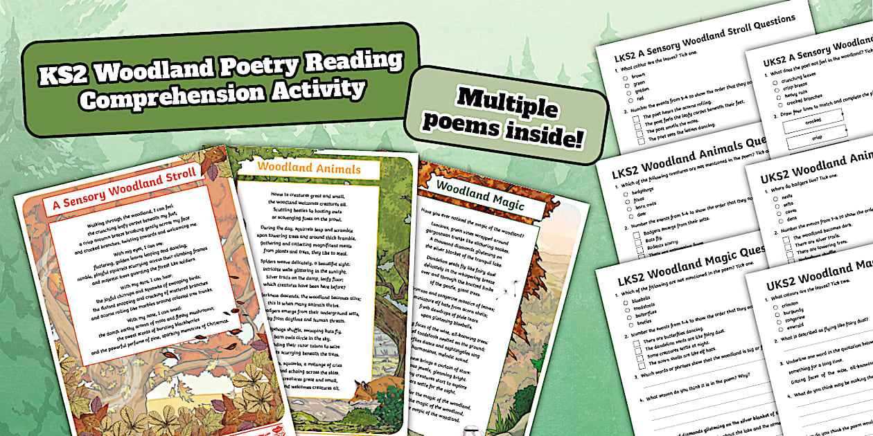 KS2 Woodland Poetry Reading Comprehension Activity
