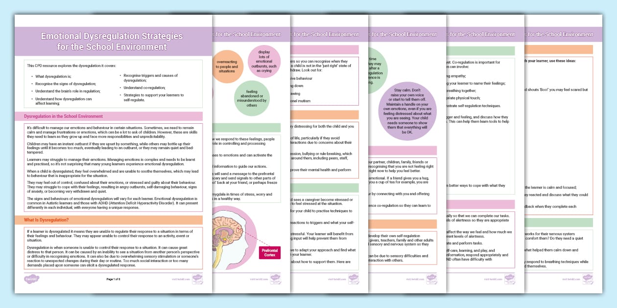 OT: Emotional Dysregulation Strategies for the School Environment
