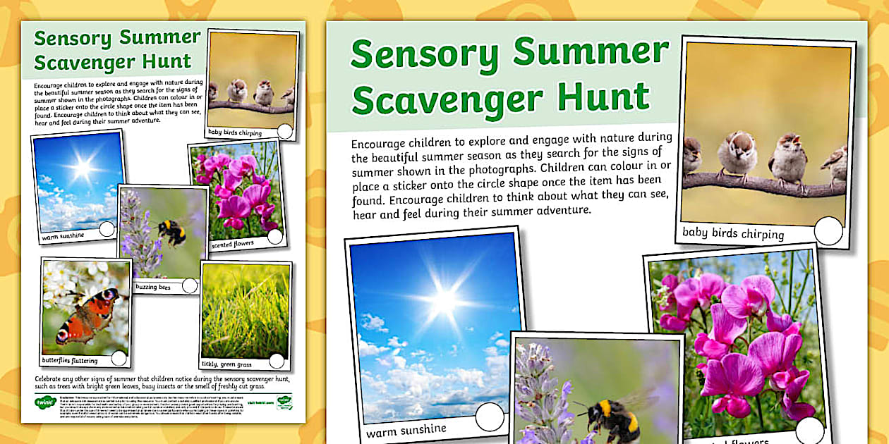 Sensory Summer Scavenger Hunt (teacher made) - Twinkl