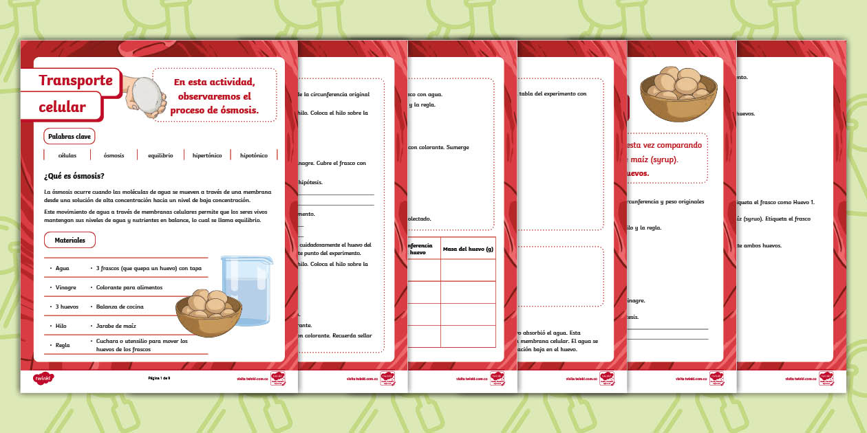 Hoja de actividades ósmosis, célula, taller- Twinkl Colombia