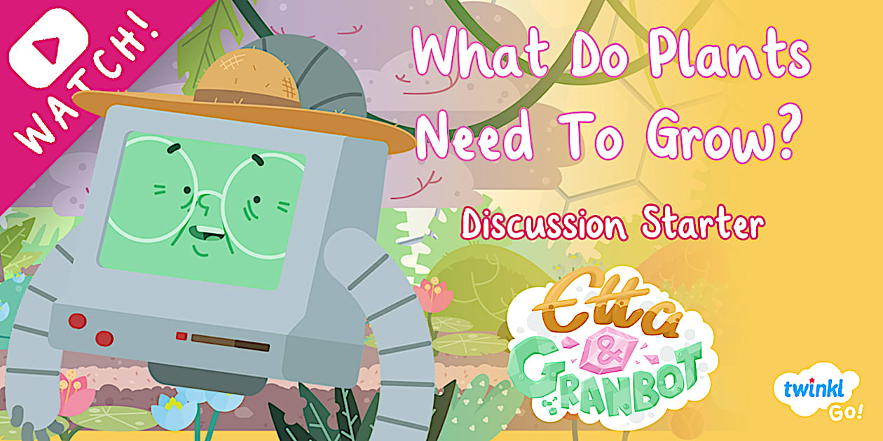 What Do Plants Need To Grow? Animation (teacher made)