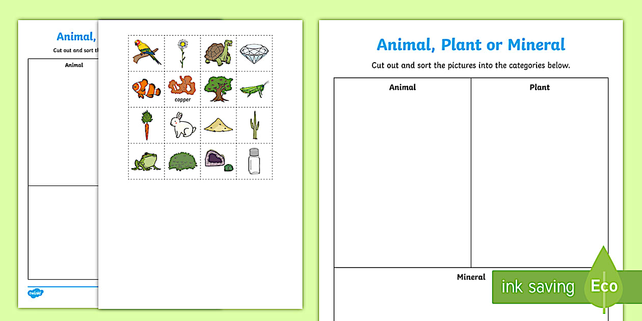 Animal, Plant or Mineral Picture Sorting Activity - Twinkl