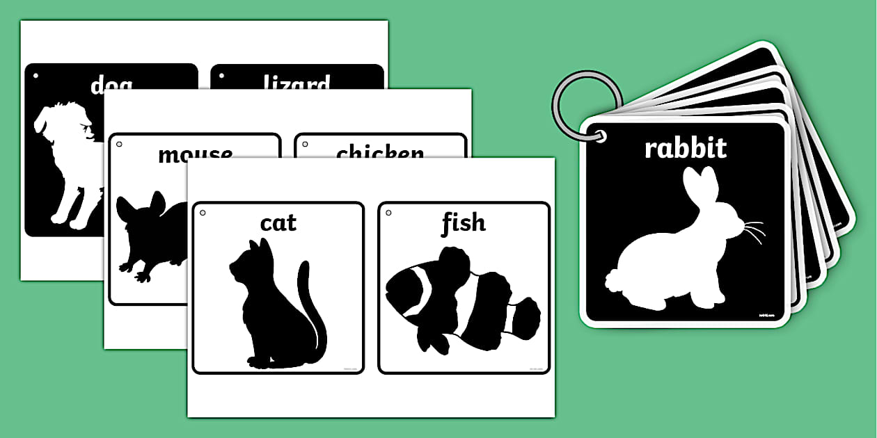 Black and White Picture and Word Flashcards: Pets | Twinkl