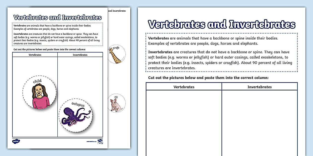 Vertebrates and Invertebrates - Activity Sheet - Twinkl