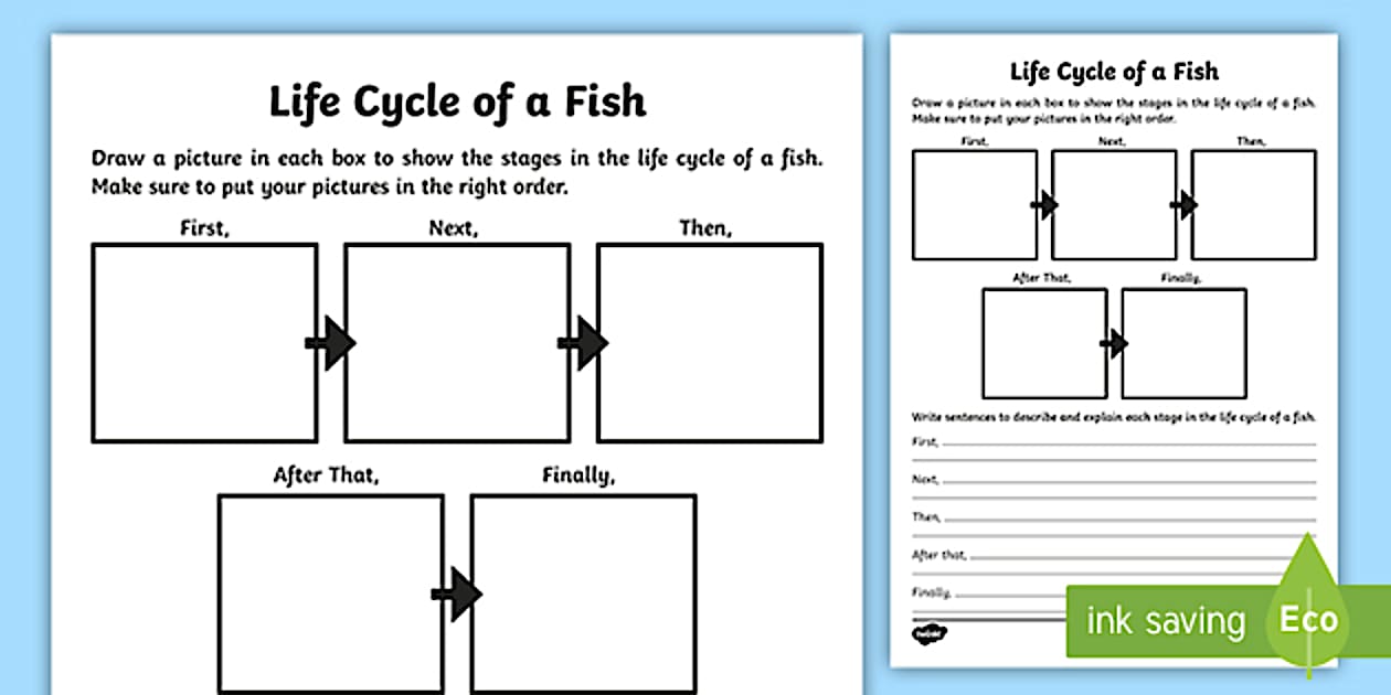 Life Cycle of a Fish Worksheet (teacher made) - Twinkl