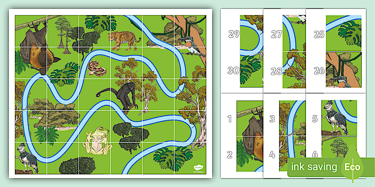 Coding Mouse Amazon Rainforest - Twinkl