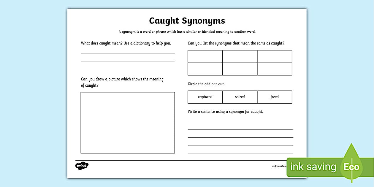 Caught Synonyms Worksheet (teacher made) - Twinkl