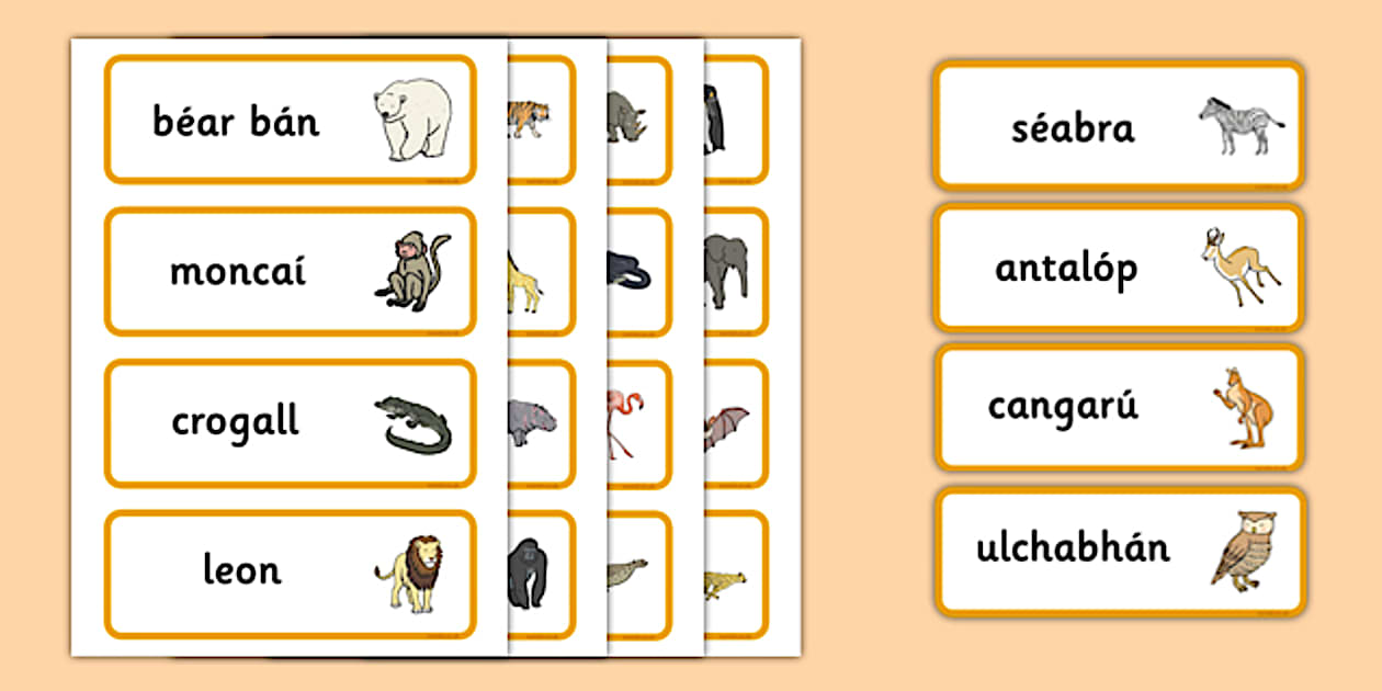 An Zú, Gaeilge Word Cards-Irish