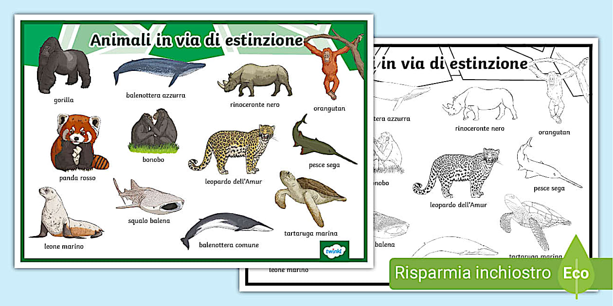 Vocabolario Illustrato Animali In Via Di Estinzione