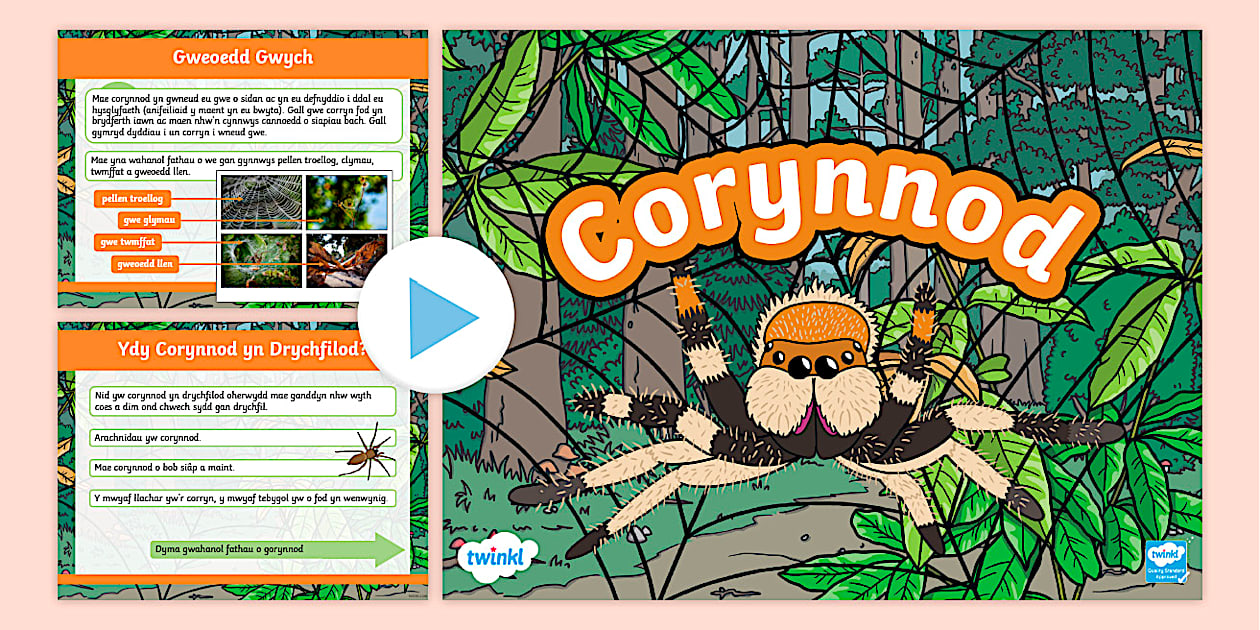 Pŵerbwynt Ffeithiau am Gorynnod (teacher made) - Twinkl