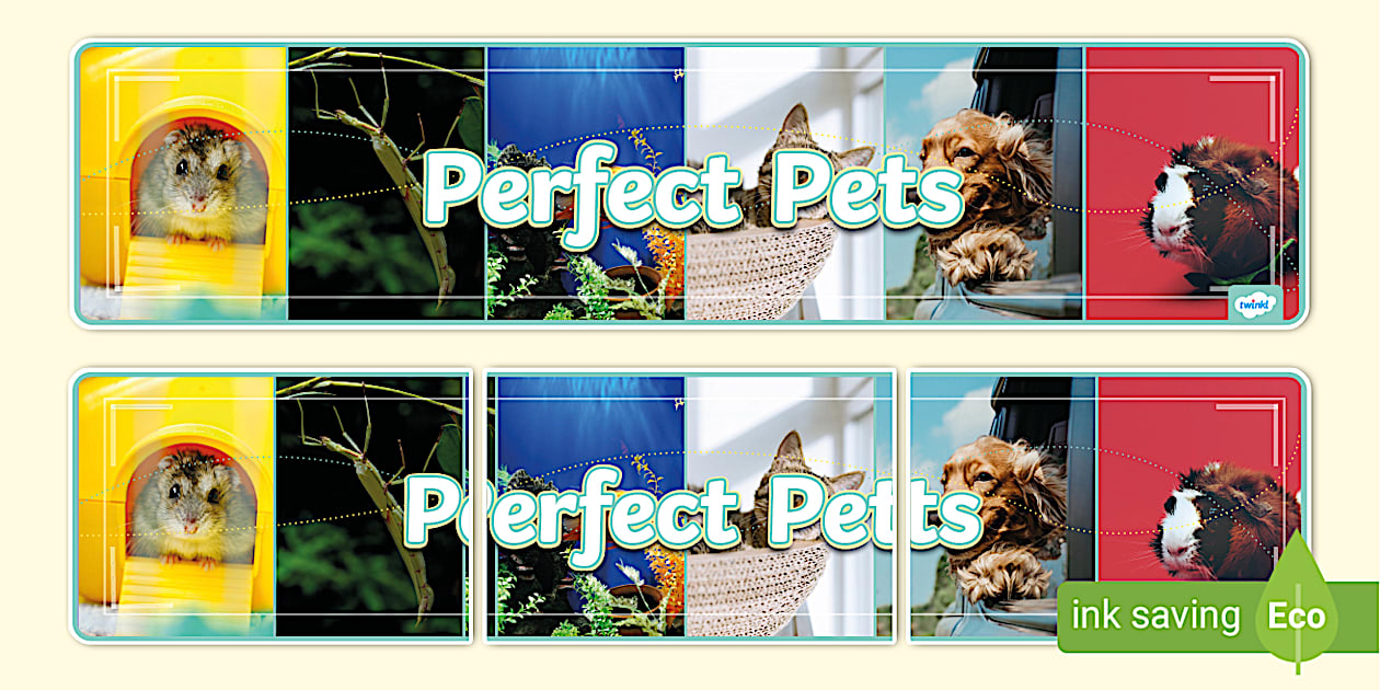 Perfect Pets Display Banner (Teacher-Made) - Twinkl