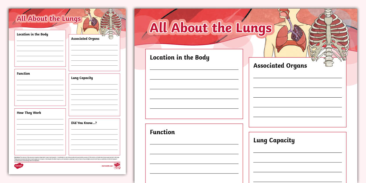 All About Our Lungs Fact File Template (teacher made)