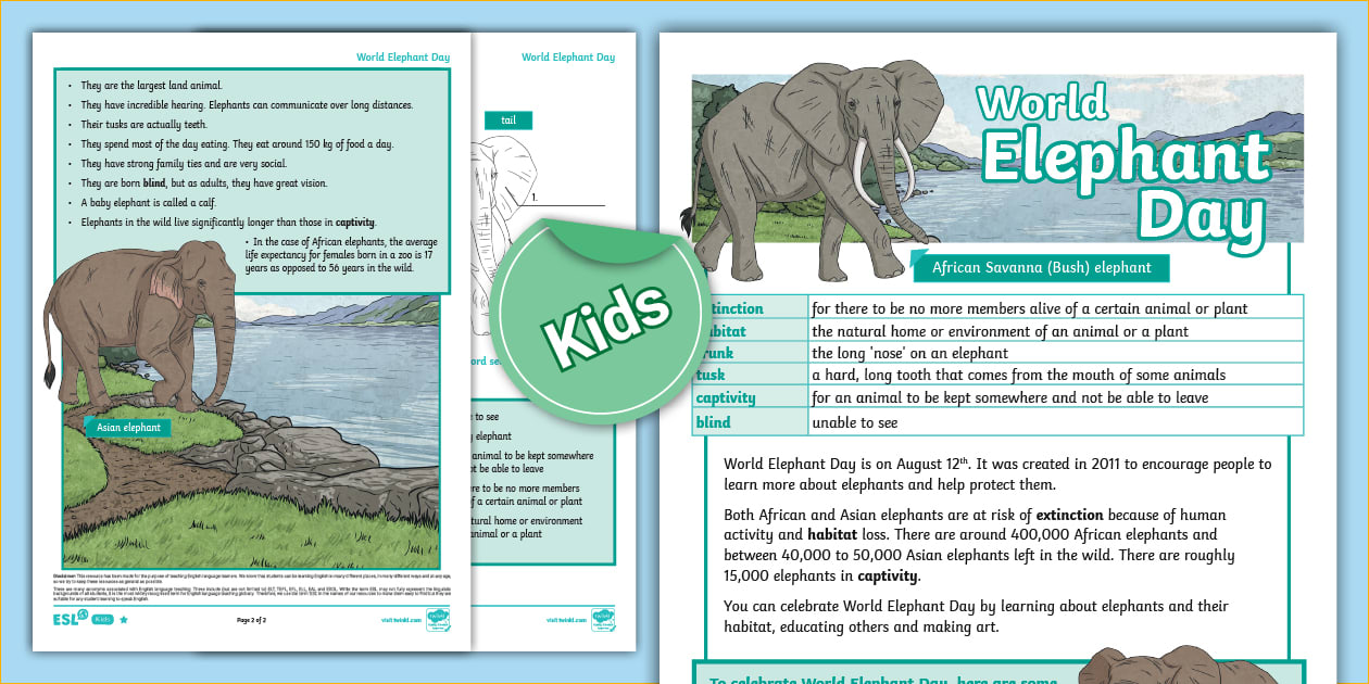 World Elephant Day Reading Comprehension for Kids - Twinkl