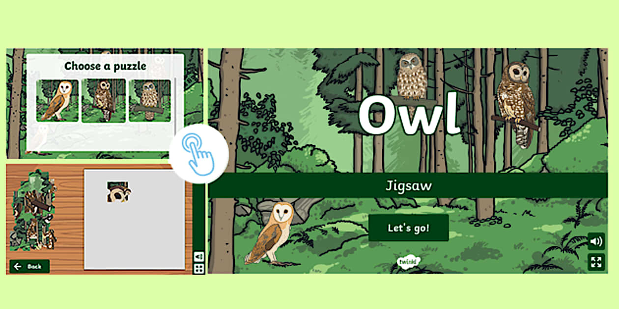 Owl Interactive Jigsaw (teacher made) - Twinkl