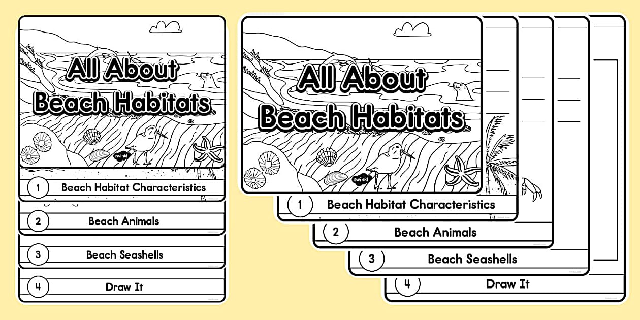 All About Beach Habitats Flipbook for K-2nd Grade - Twinkl