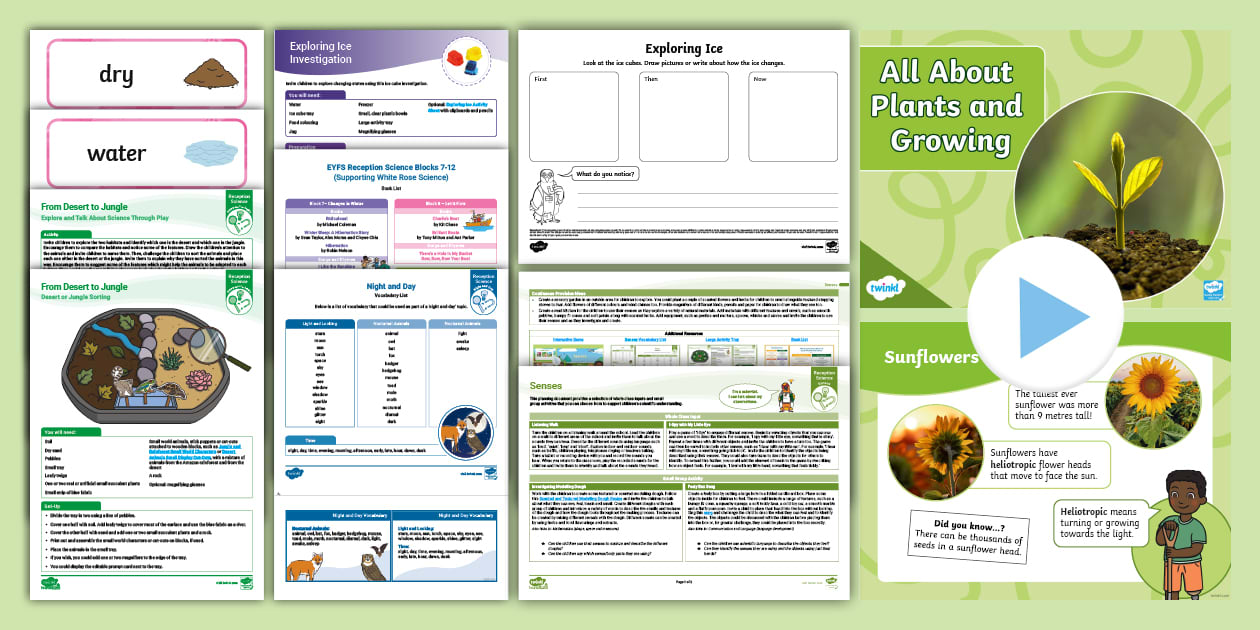 Reception White Rose Science Supporting Resources Pack