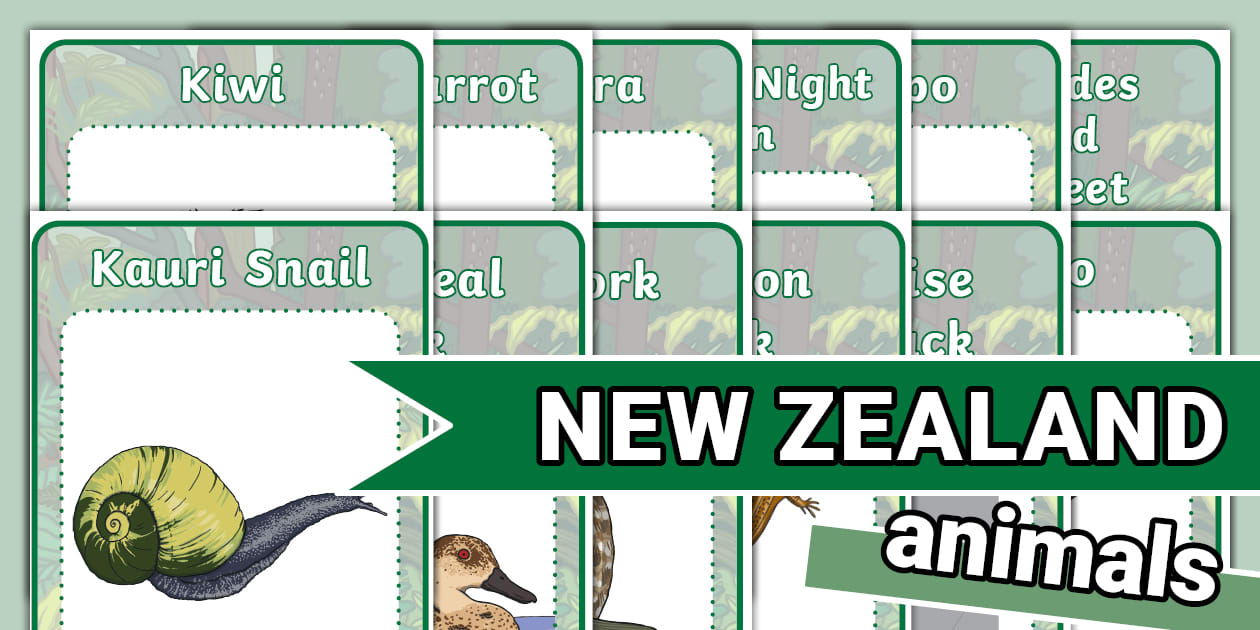 New Zealand Animals | Display Posters | NZ Primary Resources