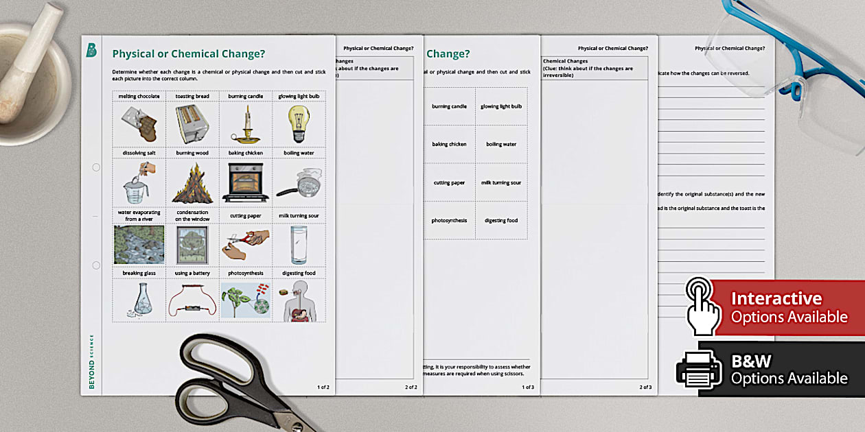 FREE! - Physical and Chemical Changes Activity Sheet