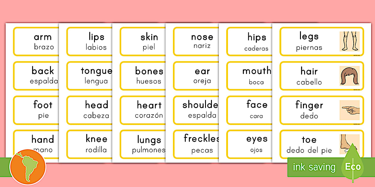 Parts of the Body Topic Word Cards - English/Spanish