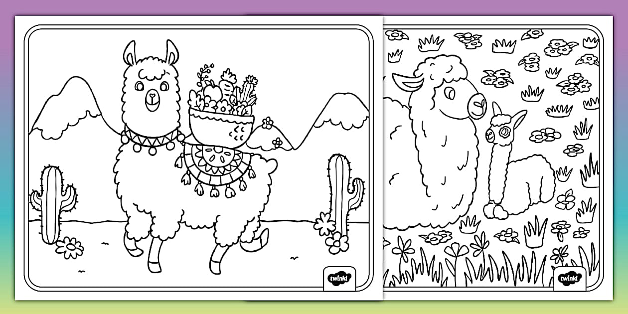 Llama Coloring Sheets (teacher made) - Twinkl