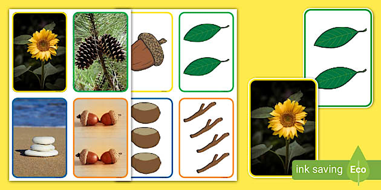 👉 Subitizing Images Pack - F-2 - Maths - Australia