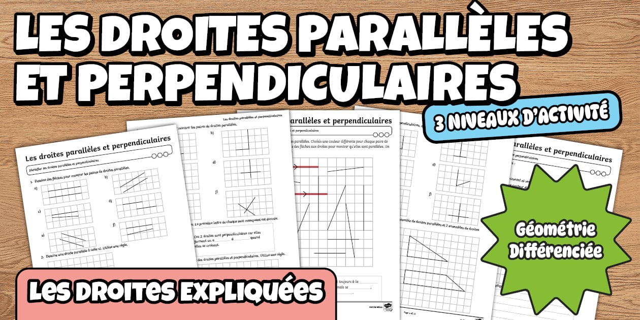 Grade 4 Math Activity Sheet {Geometry}