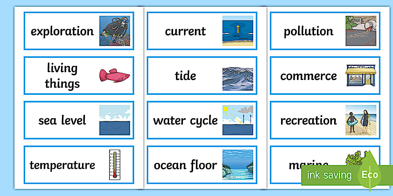 Sea Week Word Cards (teacher made) - Twinkl