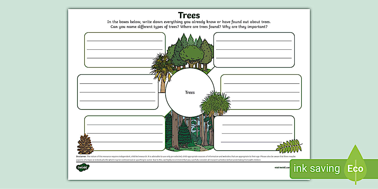 Trees Mind Map, tree (teacher made) - Twinkl