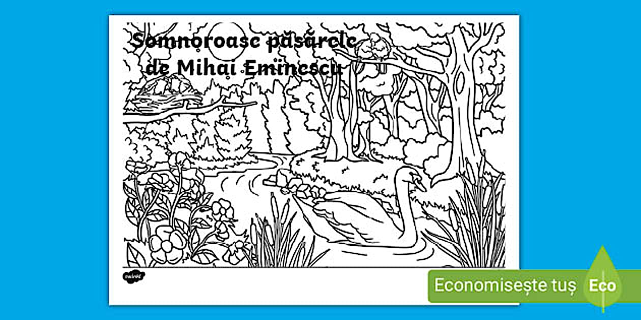 Somnoroase păsărele – Desen de colorat | Twinkl România