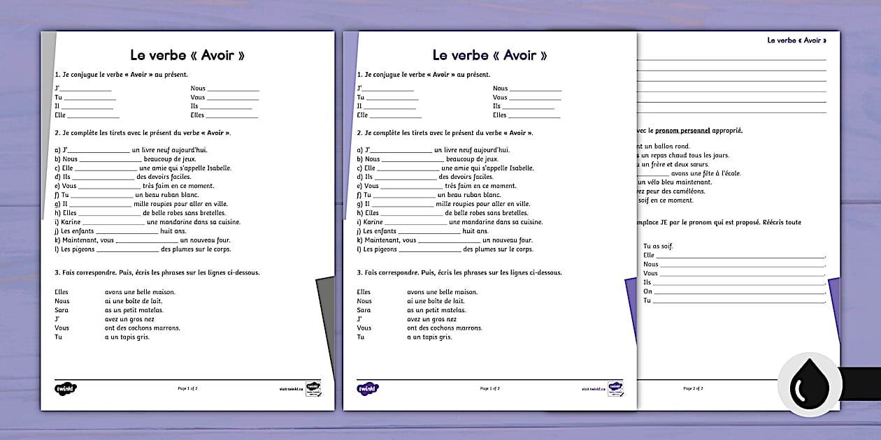 Verbe Avoir Exercises | Twinkl (teacher made) - Twinkl
