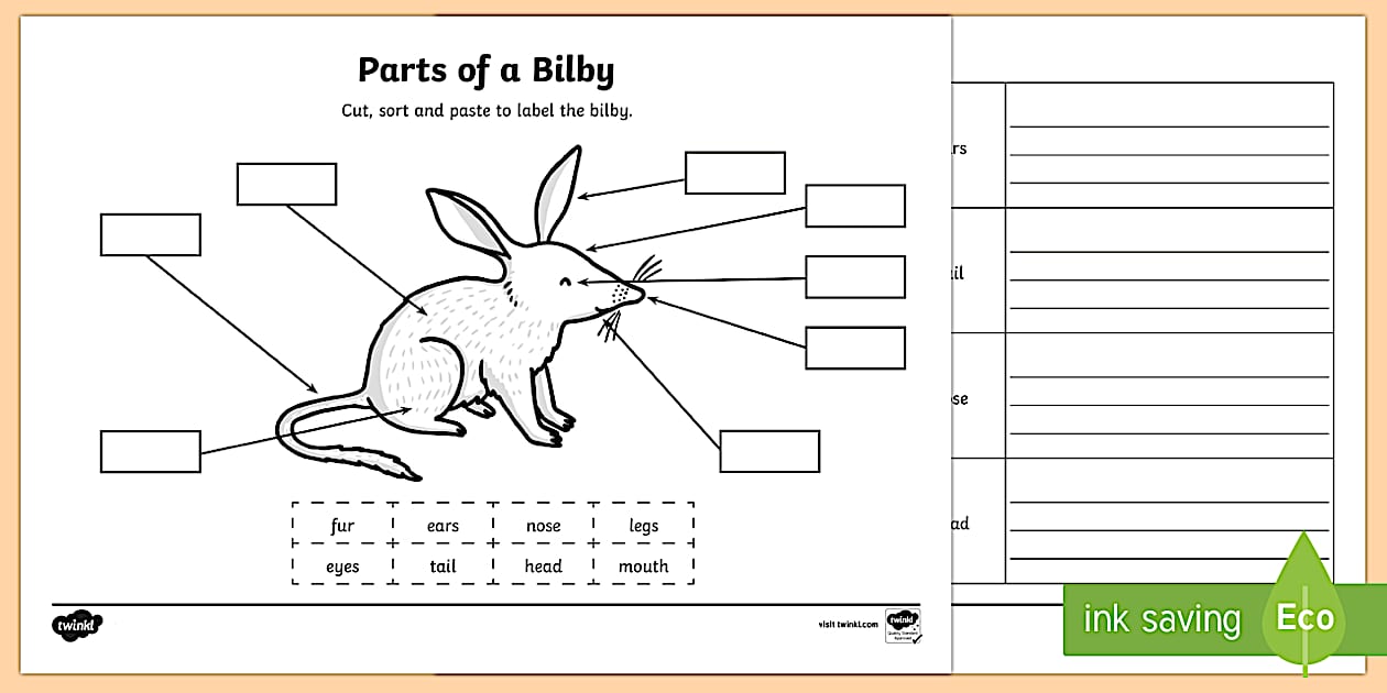 Bilby Activity Sheets | Parts of a Bilby Worksheets - Twinkl