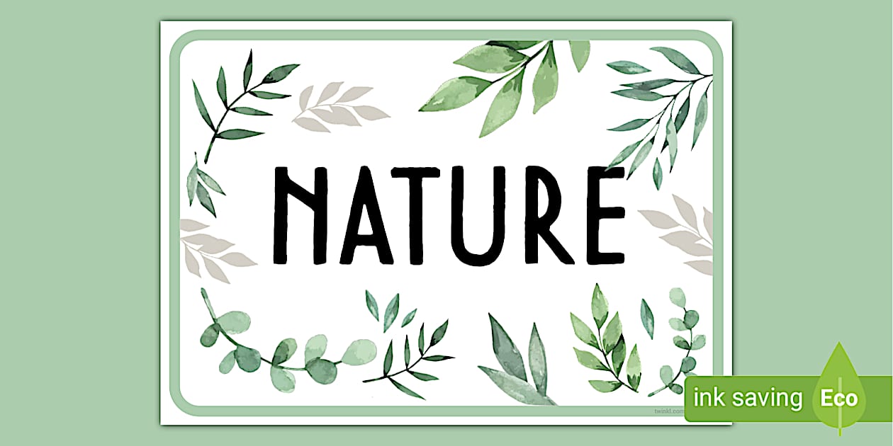 Nature Display Poster (teacher made) - Twinkl