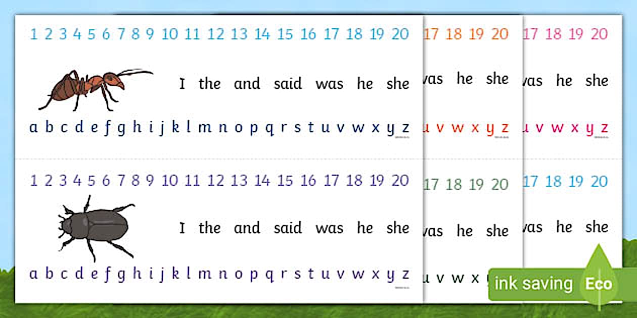 Precursive Number and Alphabet Strips (Minibeasts) - Twinkl