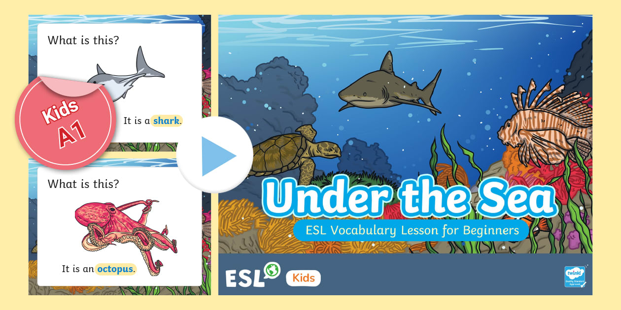 Twinkl ESL Under the Sea Vocabulary Lesson (Lehrer gemacht)
