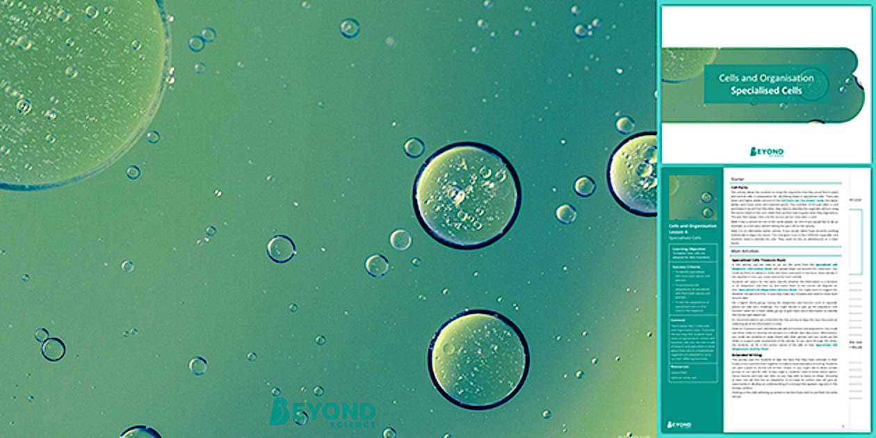 Cell Organisation Lesson 4: Specialised Cells | Beyond